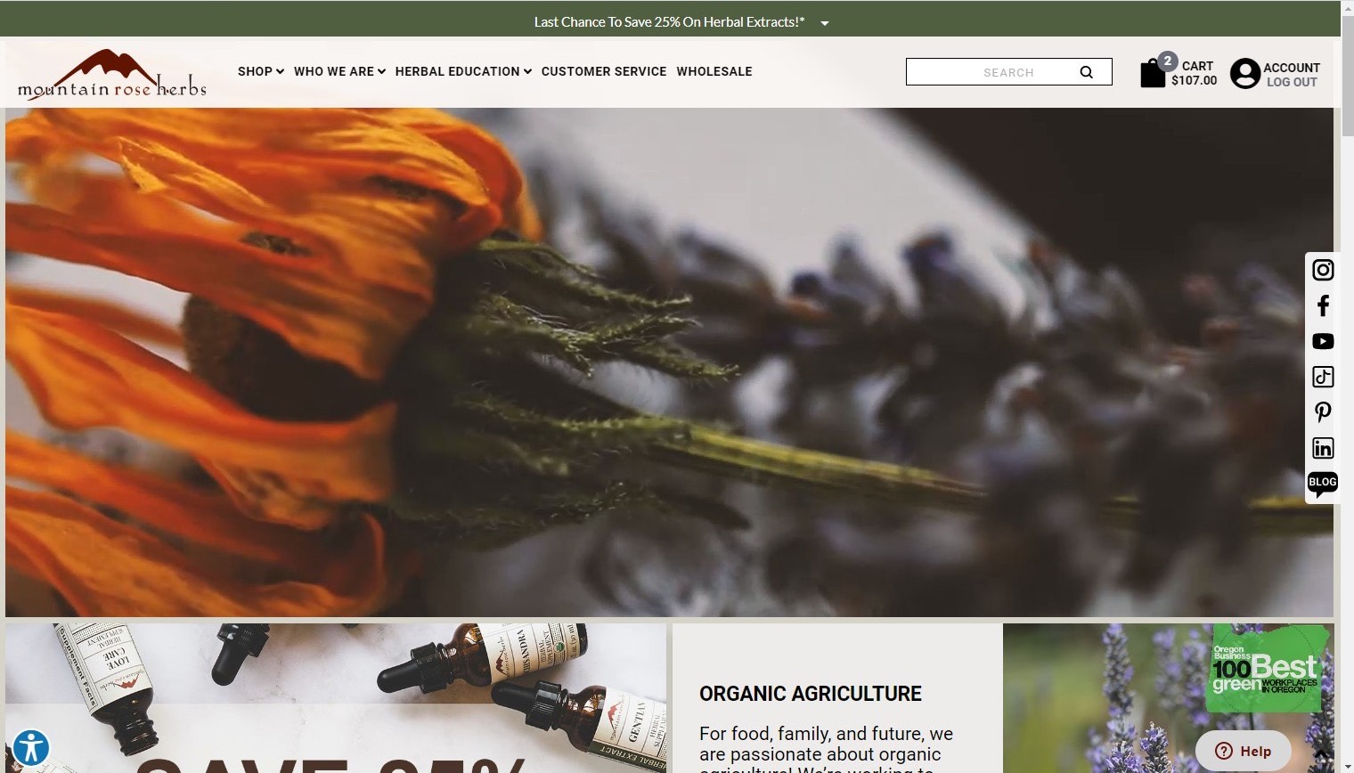 Savannah Israel - Digital Portfolio